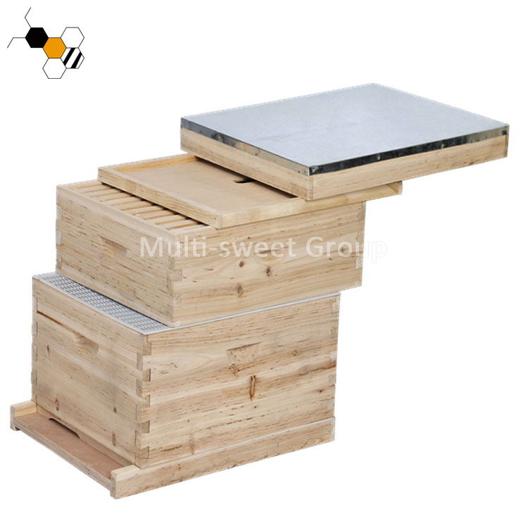 10 Frame Langstroth Hive | MULTI-SWEET GROUP