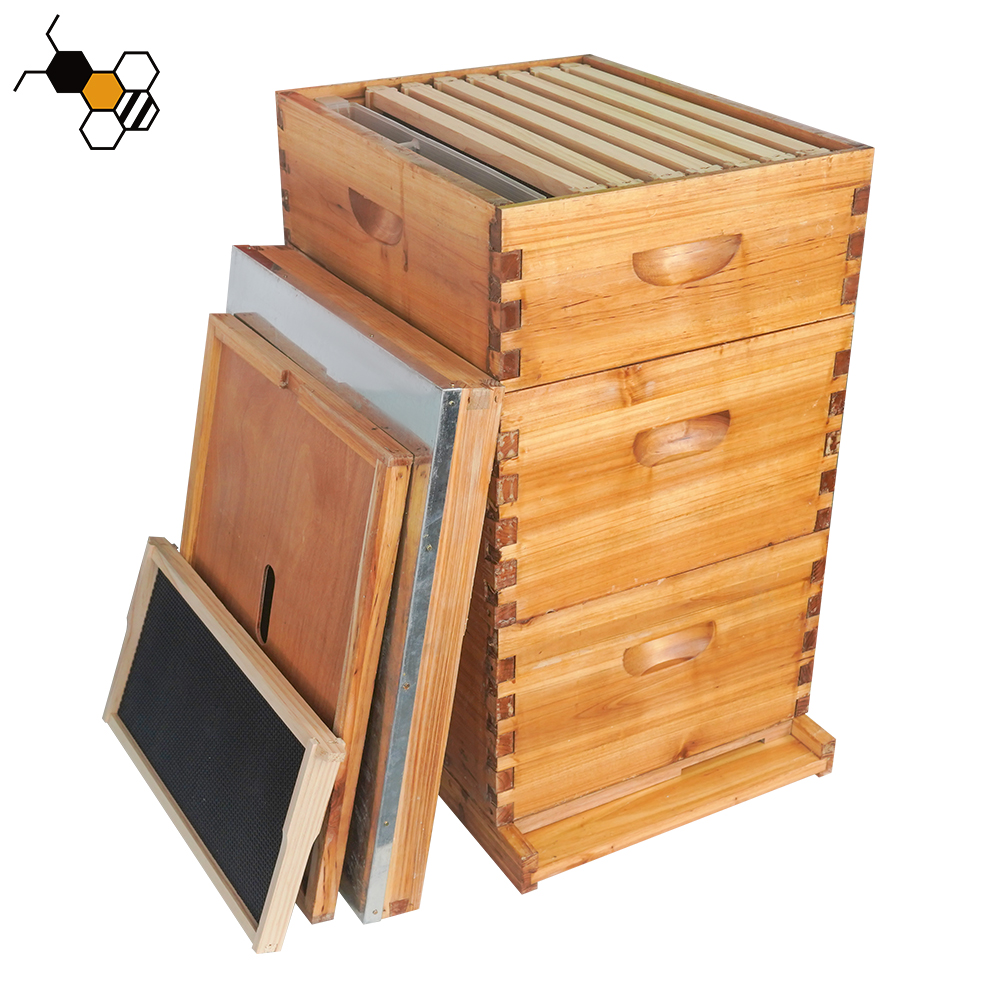 Langstroth Hive – High-Quality Beehive for Sale