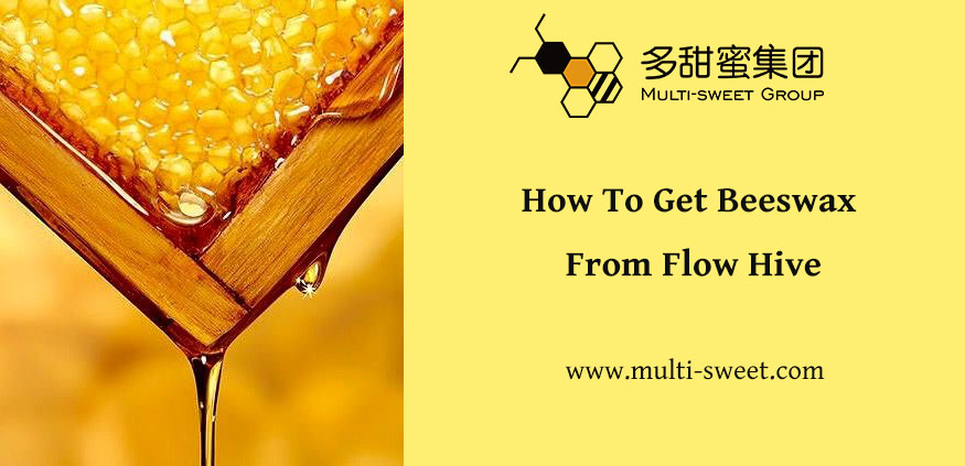 How To Get Beeswax From Flow Hive | MULTI-SWEET GROUP