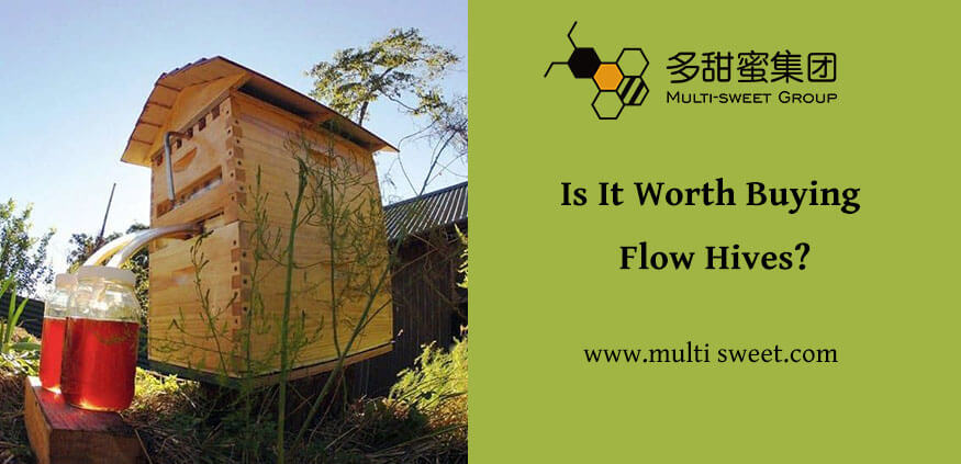 Are Flowing Hive Worth It? | MULTI-SWEET GROUP