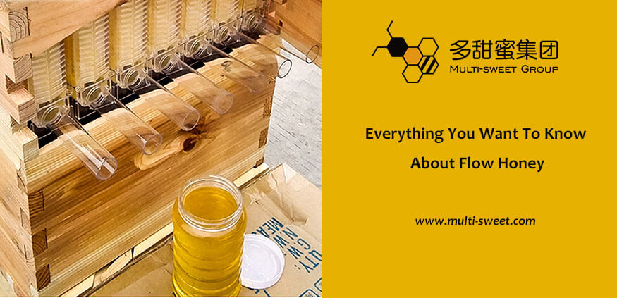 Everything You Want To Know About Flow Hive | MULTI-SWEET GROUP