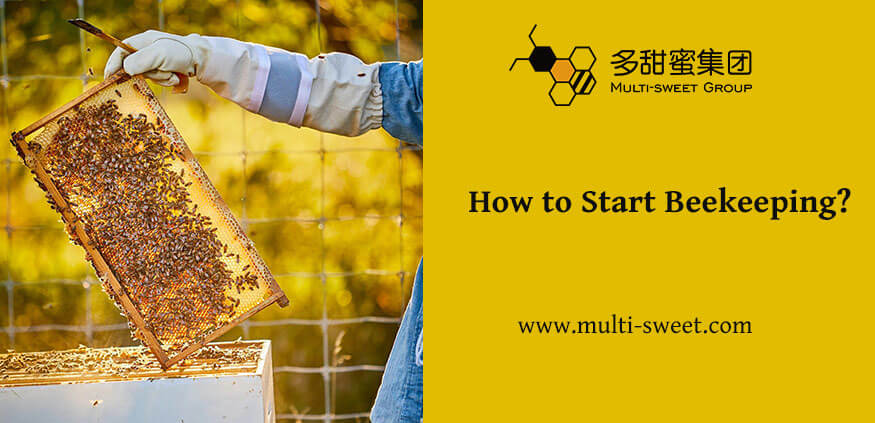 How To Start Beekeeping? | MULTI-SWEET GROUP