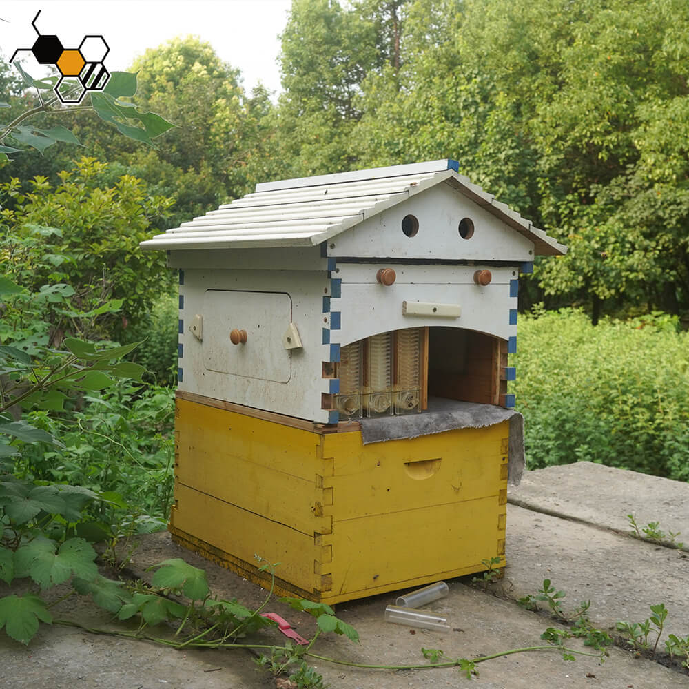 Auto Flow Hive | MULTI-SWEET GROUP Auto Flow Hive Manufacturer & Factory