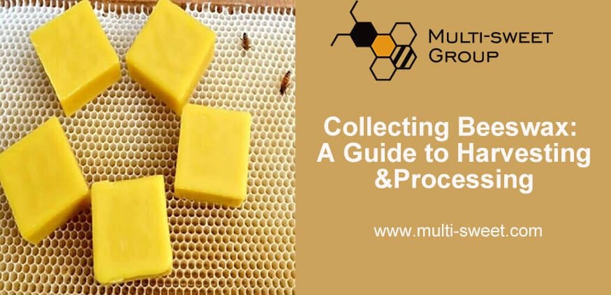 Collecting Beeswax: A Guide to Harvesting and Processing | MULTI-SWEET ...