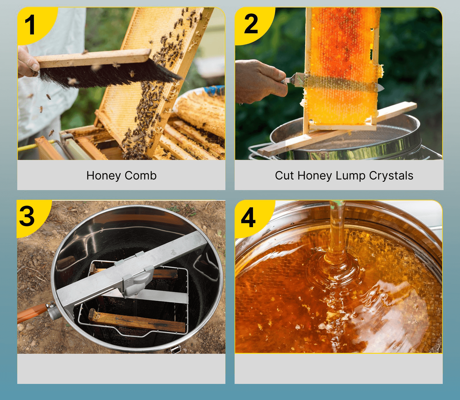 How To Deal With Frame After Honey Extraction | MULTI-SWEET GROUP