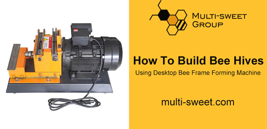 How To Build Bee Hives | MULTI-SWEET GROUP