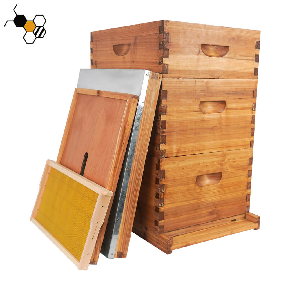 Langstroth Beehive | MULTI-SWEET GROUP Manufacturer | Wholesale Price