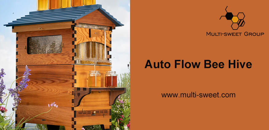 Auto Flow Bee Hive | MULTI-SWEET GROUP