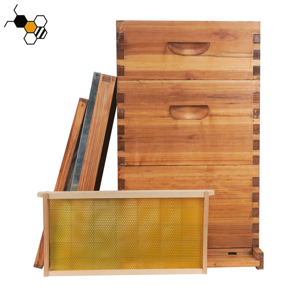 Langstroth Beehive 8 Frame - High-Quality Beekeeping Equipment | MULTI-SWEET GROUP Manufacturer ...