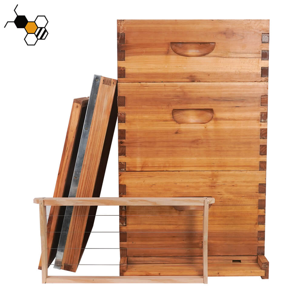 Langstroth Beehive 3 Layer | MULTI-SWEET GROUP Manufacturer | Wholesale Price