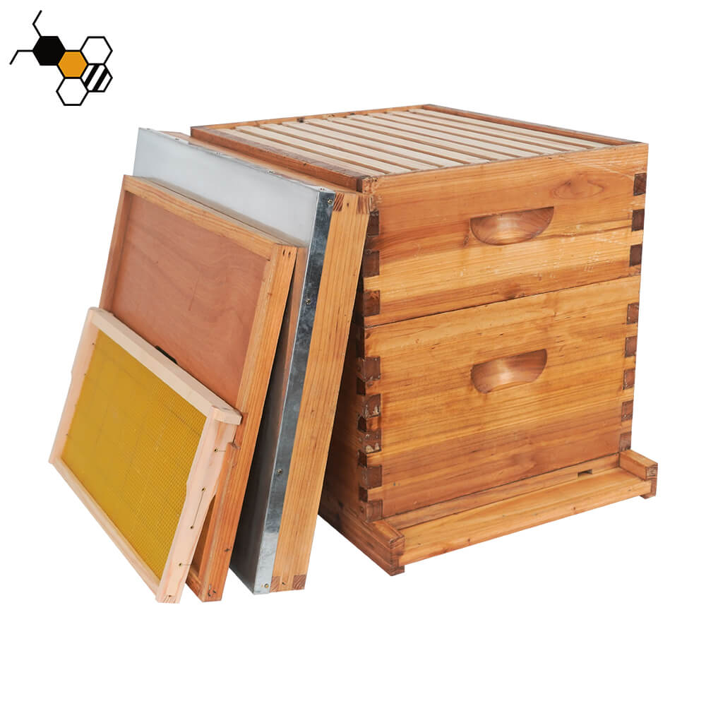 Langstroth Beehive 2 Layer | MULTI-SWEET GROUP Manufacturer | Wholesale ...