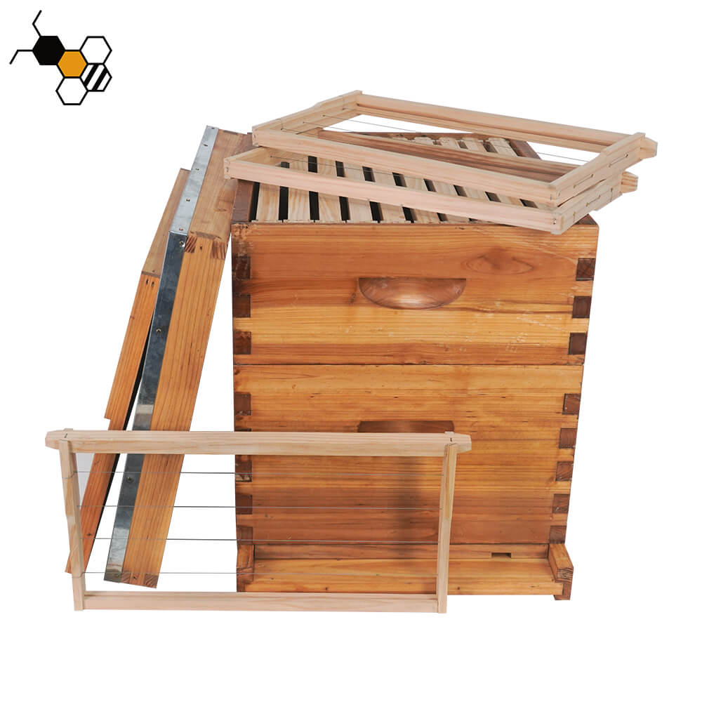 Langstroth Beehive 10 Frame | MULTI-SWEET GROUP Manufacturer | Wholesale Price