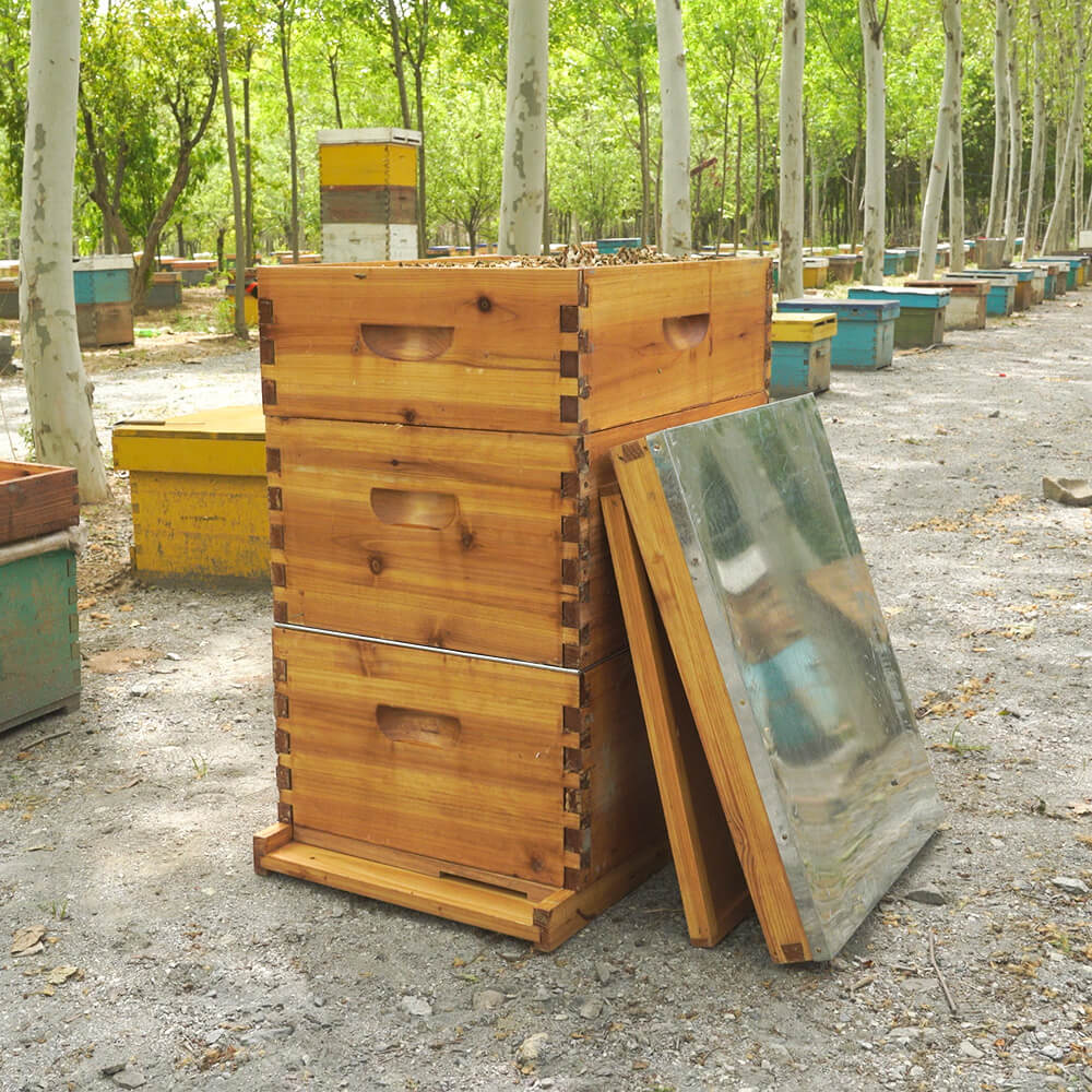 Introduce Langstroth Hive Components | MULTI-SWEET GROUP