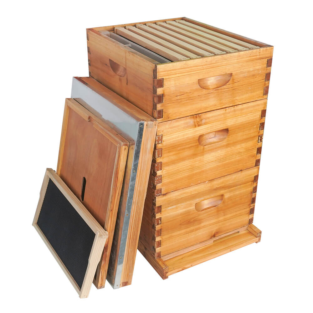 Wax Coated Bee Hives | MULTI-SWEET GROUP Manufacturer