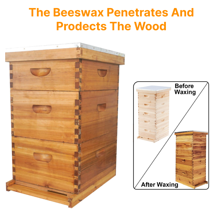 How To Assemble Langstrath Beehive | MULTI-SWEET GROUP