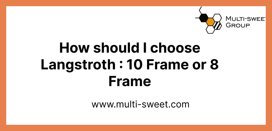 How should I choose Langstroth: 10 Frame or 8 Frame | MULTI-SWEET GROUP