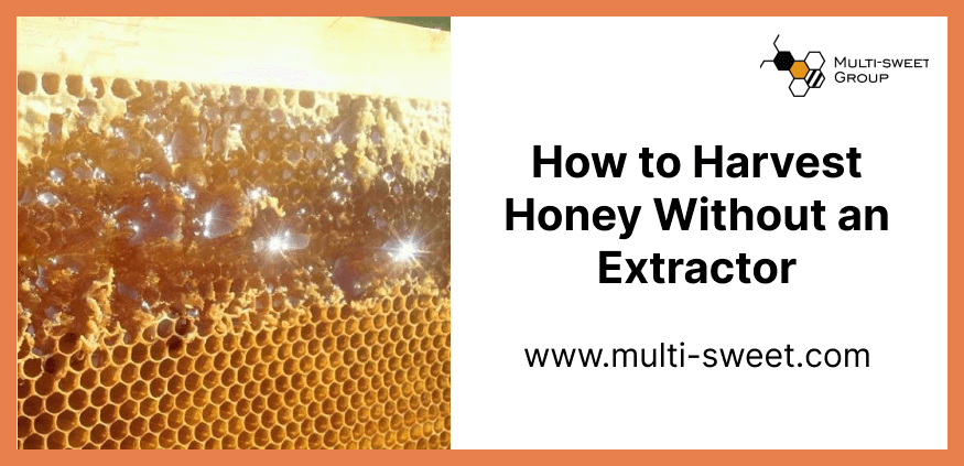 How to Harvest Honey Without an Extractor | MULTI-SWEET GROUP