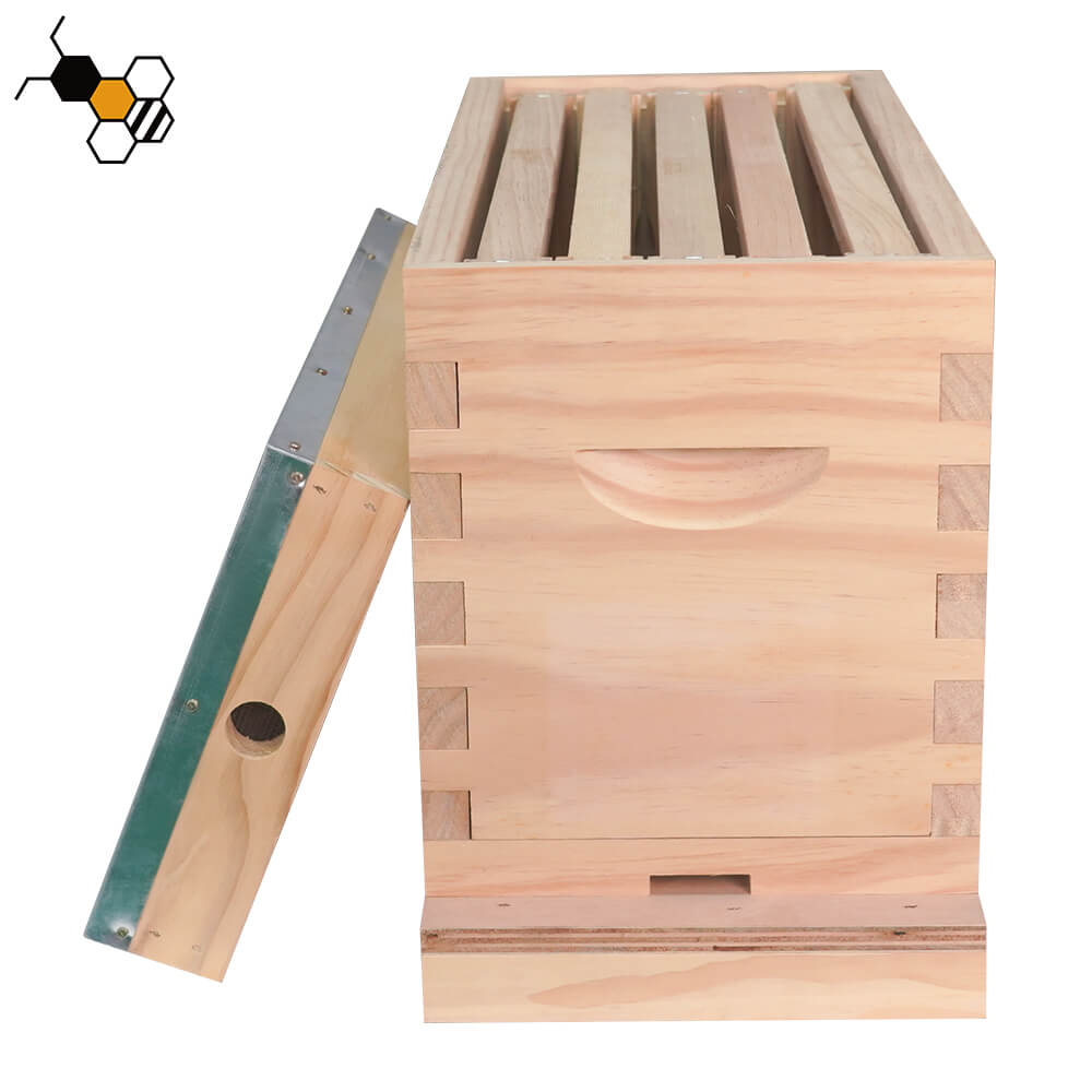 Nucleus Hive Box | MULTI-SWEET GROUP
