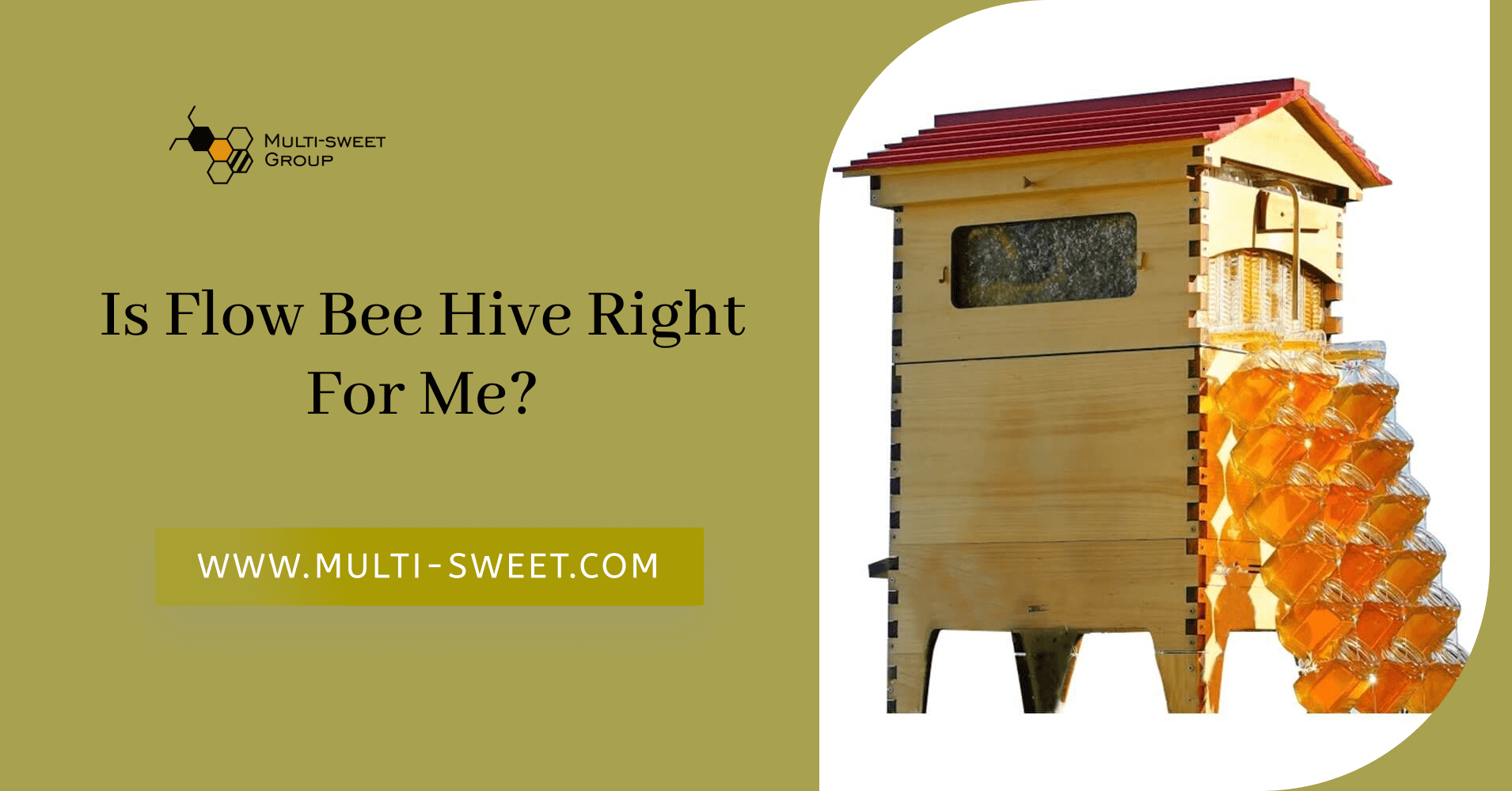 Is Flow Bee Hive Right For Me? | MULTI-SWEET GROUP
