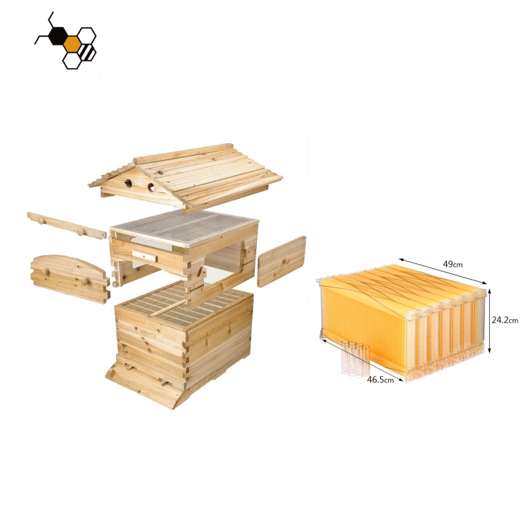 Flow Hive Factory | MULTI-SWEET GROUP Manufacturer & Factory | Wholesale