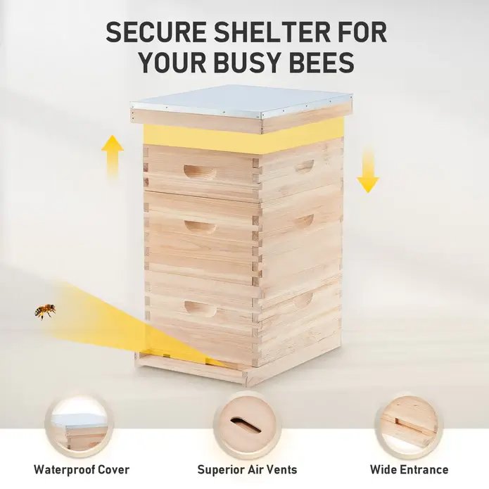 Beehive Kit | MULTI-SWEET GROUP Manufacturer | Wholesale Price