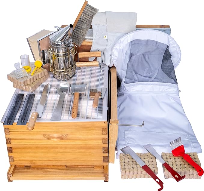 Bee Hive Starter Kit 8 Frame | MULTI-SWEET GROUP Factory & Manufacturer Wholesale