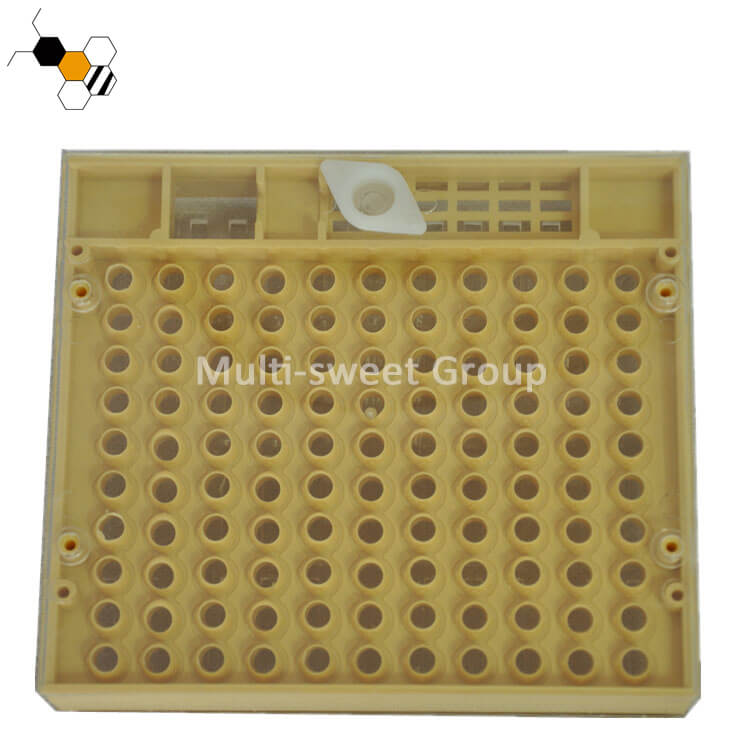 Queen Cell Grid | MULTI-SWEET GROUP Manufacturer