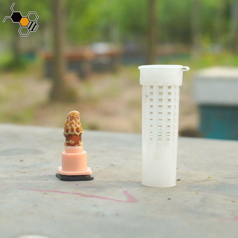 Queen Cell Protector Cage | MULTI-SWEET GROUP Manufacturer