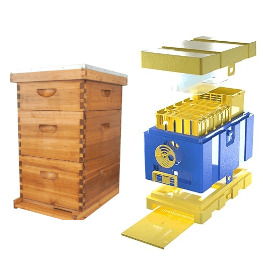 Bee Nucs: Everything You Need To Know | MULTI-SWEET GROUP