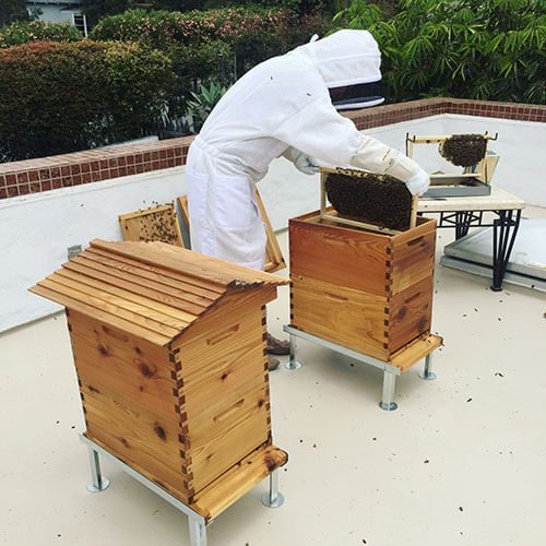 Beekeeping Equipment List | MULTI-SWEET GROUP