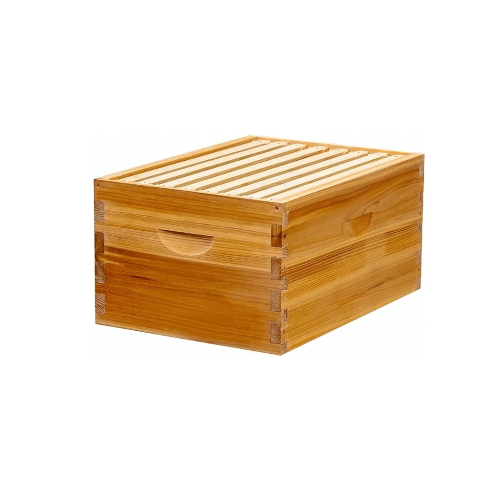 Bee Box 8 Frame | MULTI-SWEET GROUP Manufacturer
