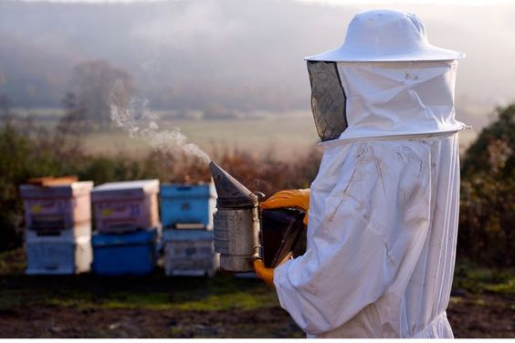 How To Clean Your Beekeeping Equipment | MULTI-SWEET GROUP
