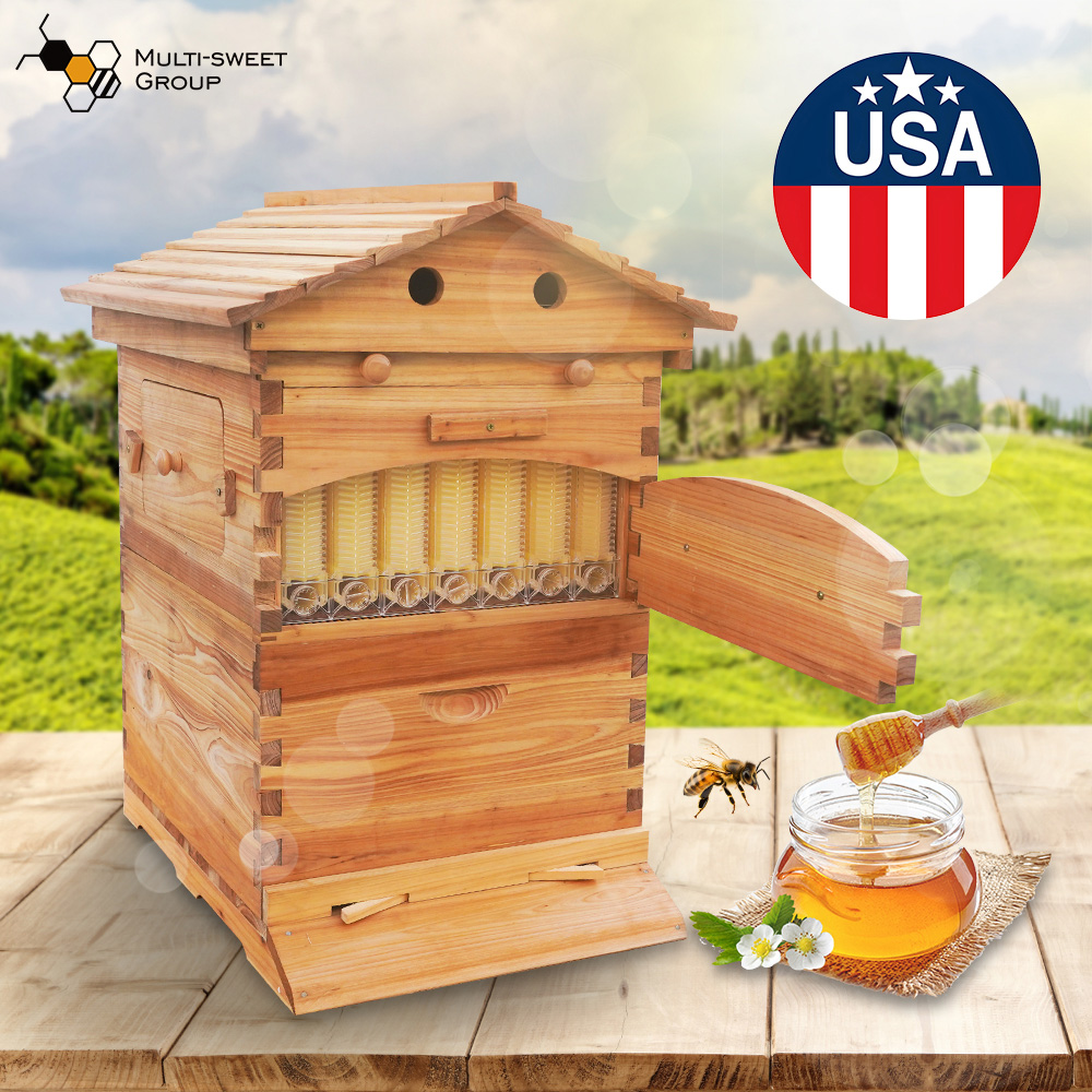 Flow Hive Bee Box | MULTI-SWEET GROUP Manufacturer & Factory | Wholesale