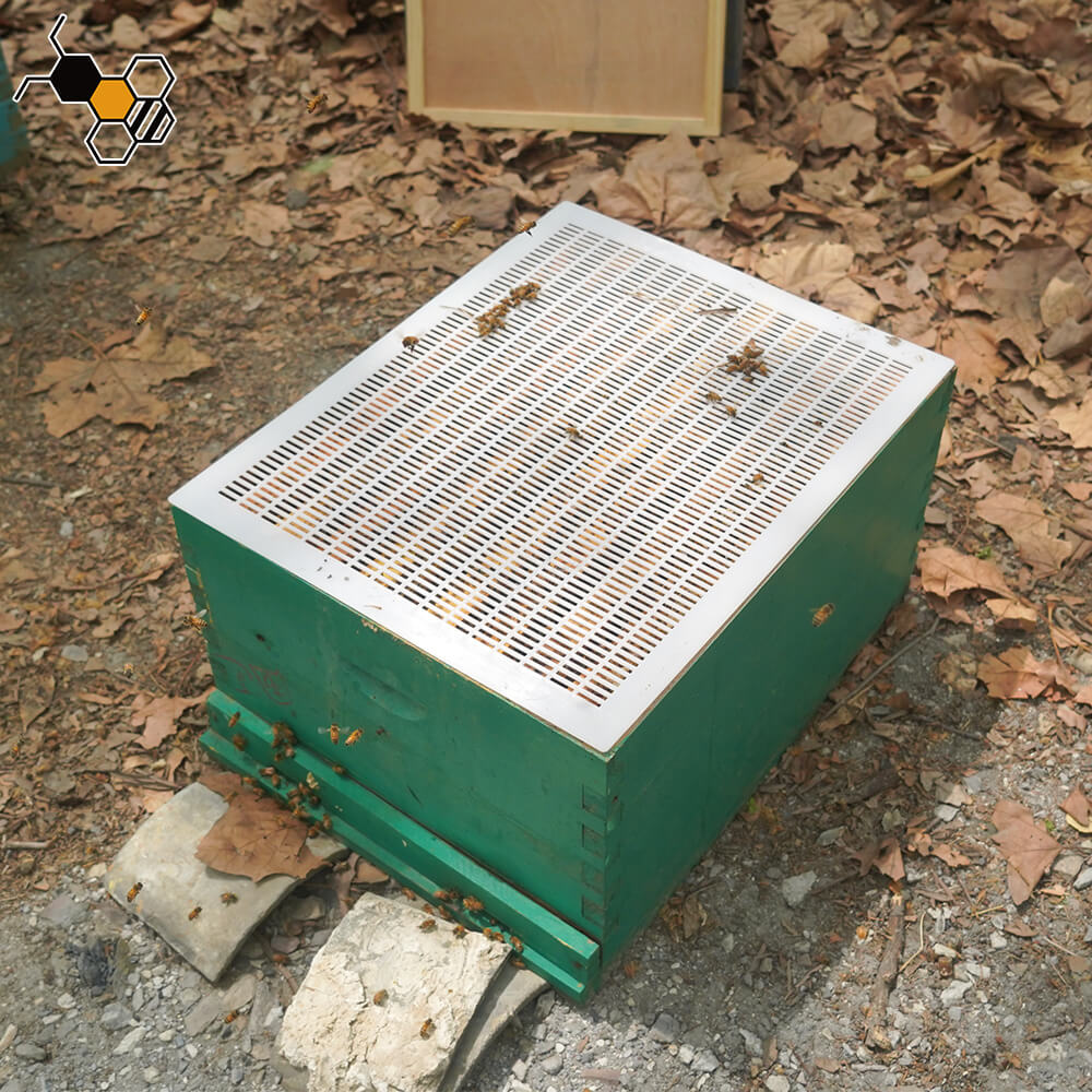 Queen excluders For Langstroth Beehive | MULTI-SWEET GROUP